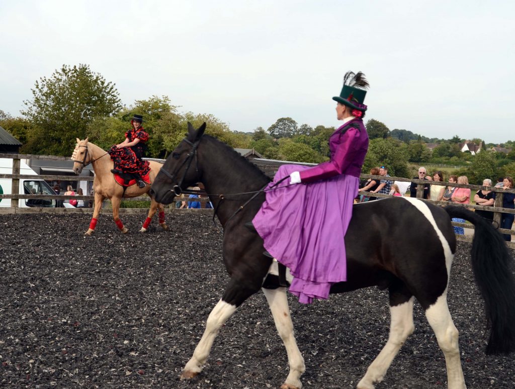 Caroline's Horse Training – Communication without Fear