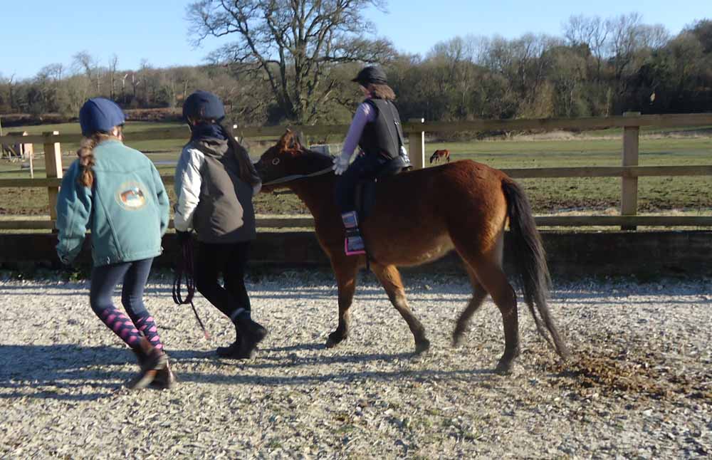 Caroline's Horse Training: Communication without Fear